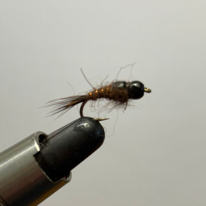 Creel Flies- Back Country Bug – Creel Tackle Shop