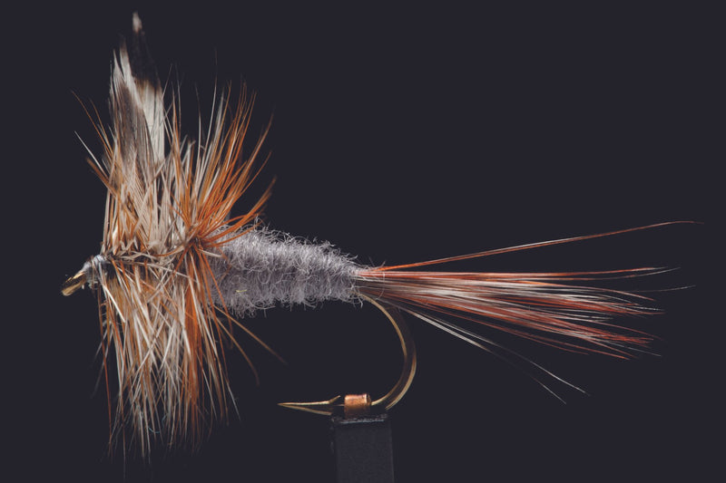 Adams Fishing Fly – Creel Tackle Shop