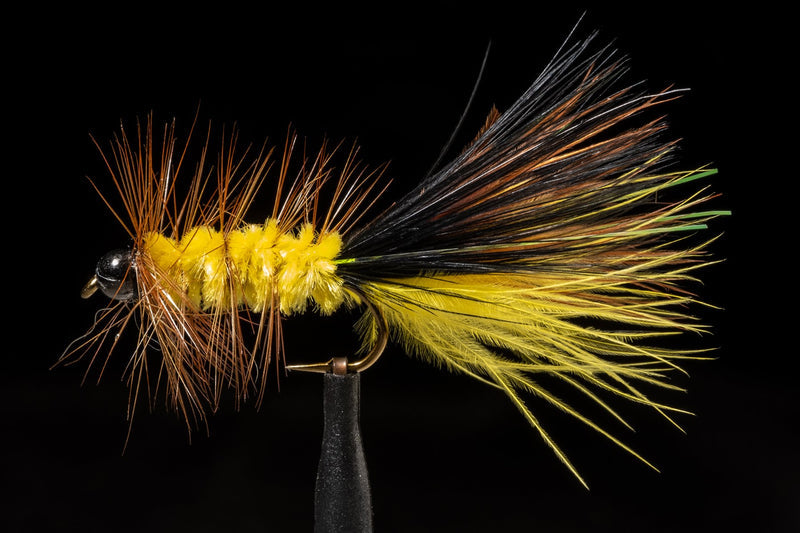 BH Cleveland Streamer Fishing Fly – Creel Tackle Shop