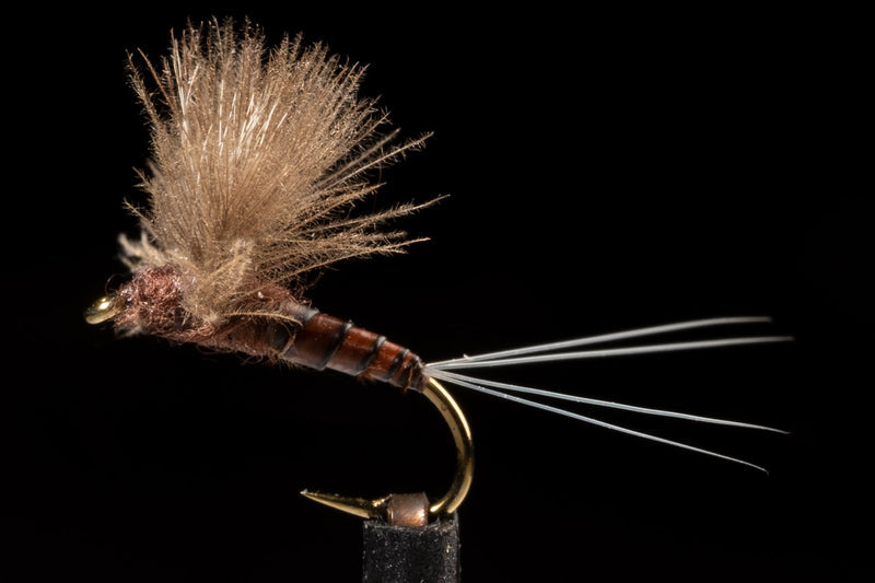 CDC Biot Comparadun Mahogany Fishing Fly – Creel Tackle Shop