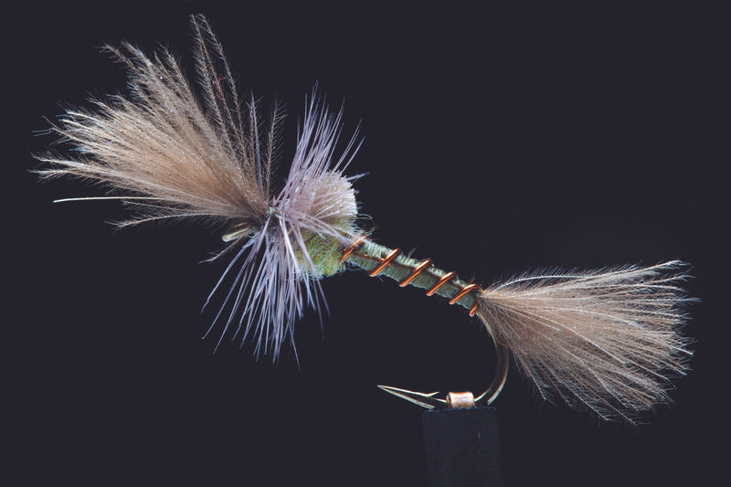 CDC Baetis Cripple Fishing Fly – Creel Tackle Shop