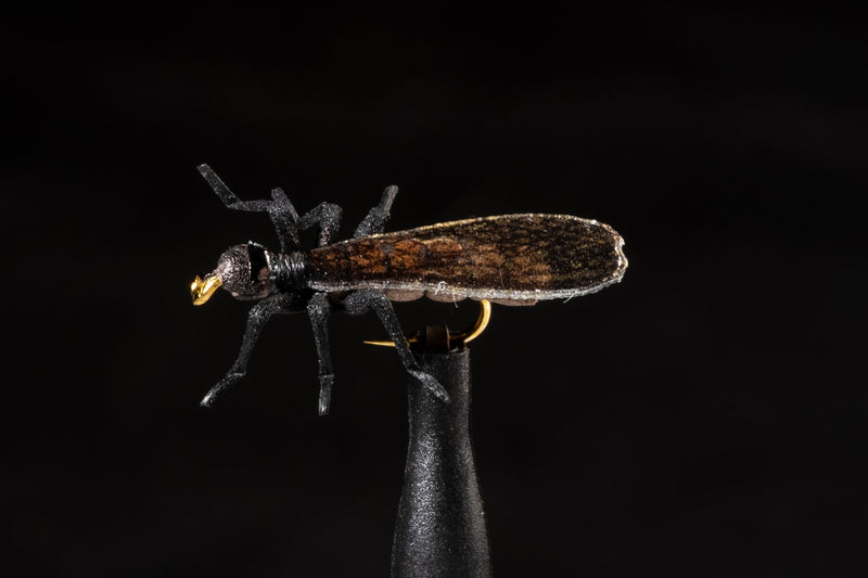 True Little Black Stonefly Fishing Fly – Creel Tackle Shop
