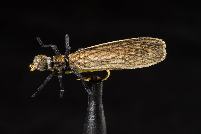 True Skwala Fishing Fly – Creel Tackle Shop
